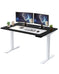 Rise Up Standing Desk | Premium Dual-Motor Electric Adjustable Desk ...